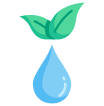 Rasuwa